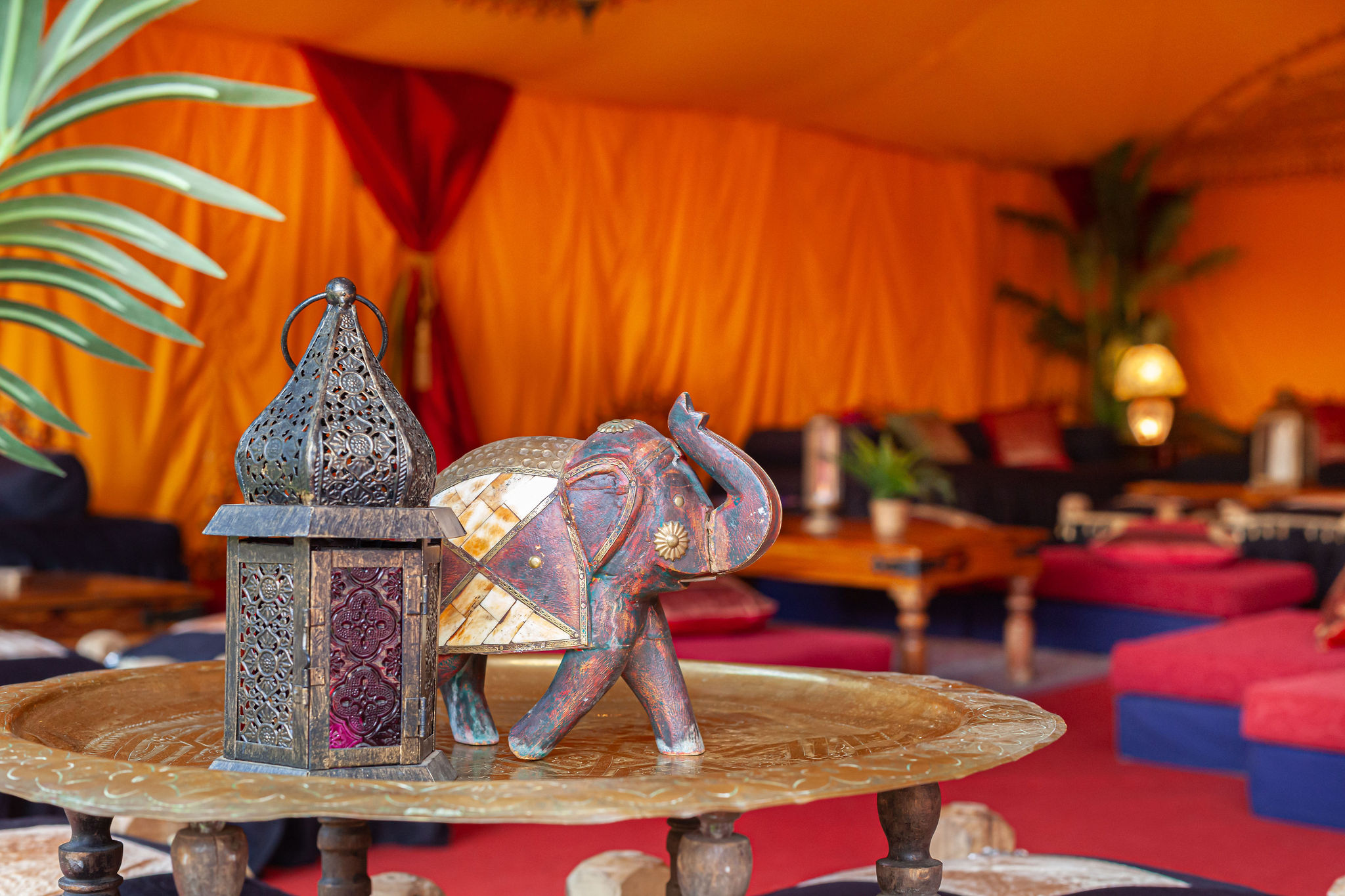 Arabian Nights Party - The Arabian Tent Company